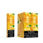 MR FOG 1.3ML DISPOSABLE - MANGO - Mr Fog - Enjoy To The Last Puff