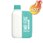 Mr Fog Disposable Vape In Stock – Compatible Low Price Online